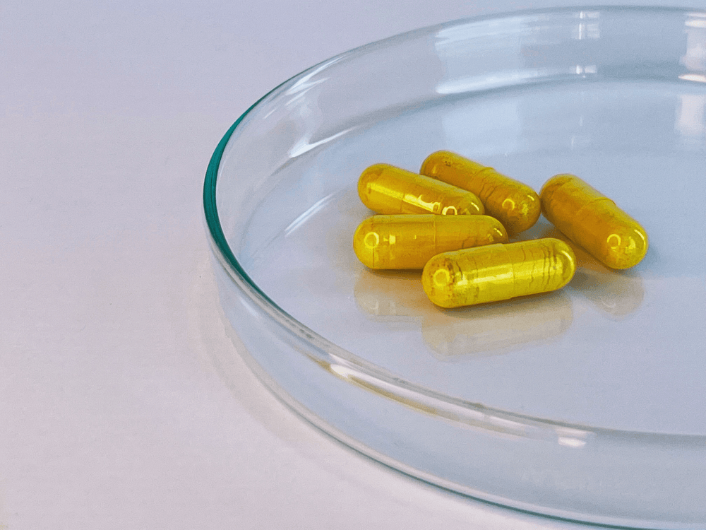 Best Longevity Supplements 2025 | L Cell